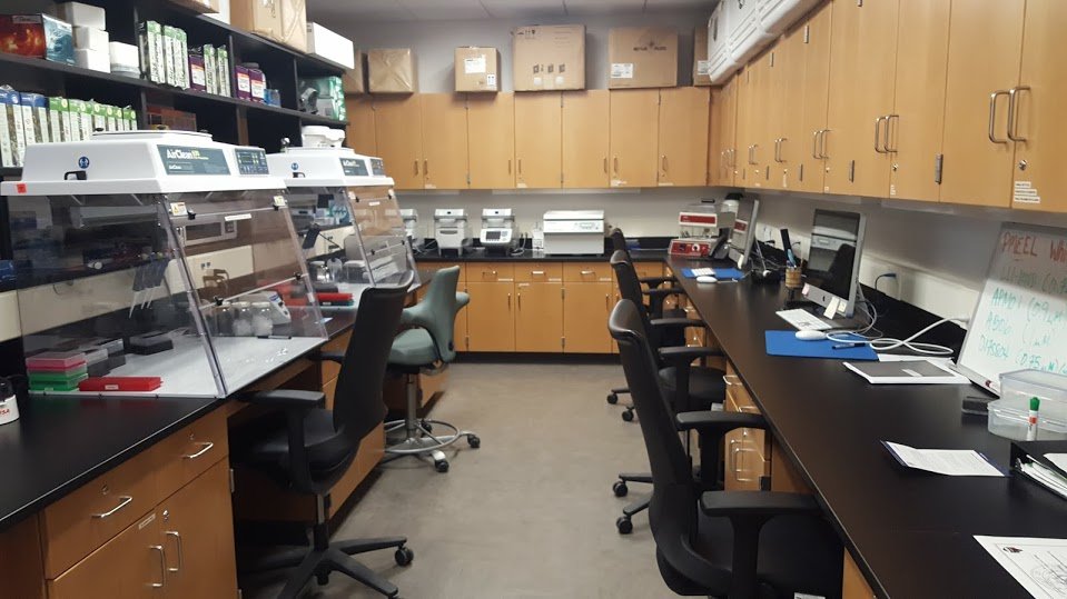 LabSpace | Liberal Arts | UT - Austin